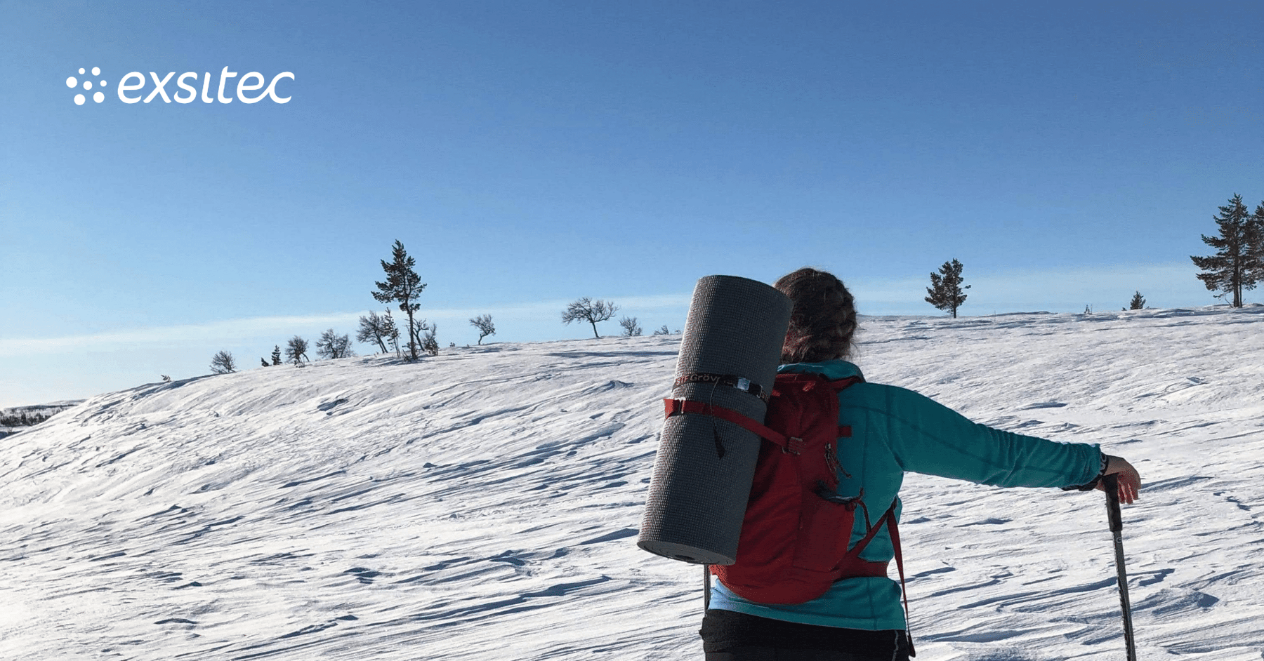 Information om Exsitec | Exsitec